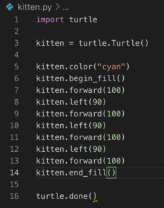 Python Turtle Basics v 1