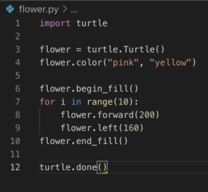 Python Turtle Basics 2